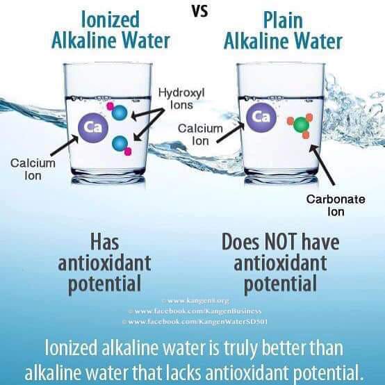 SEHAT SEJATI: Difference between Ionized Alkaline Water and Plain Alkaline Water