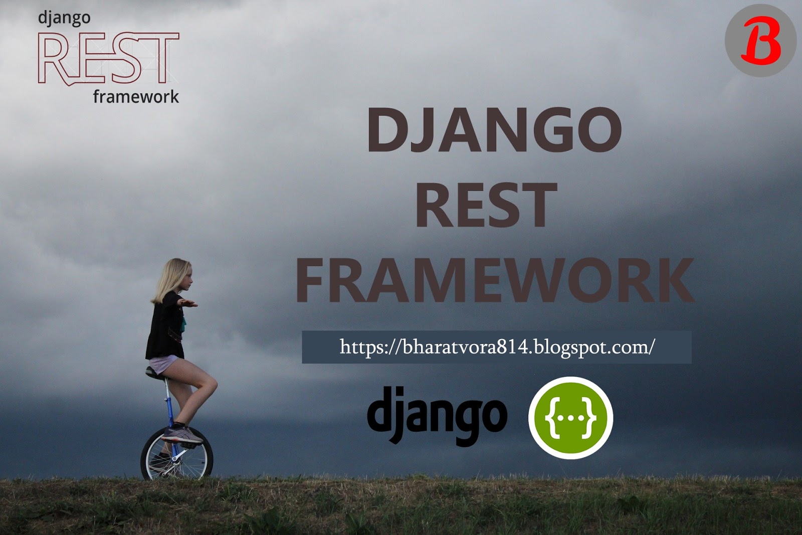 Django Rest Framework