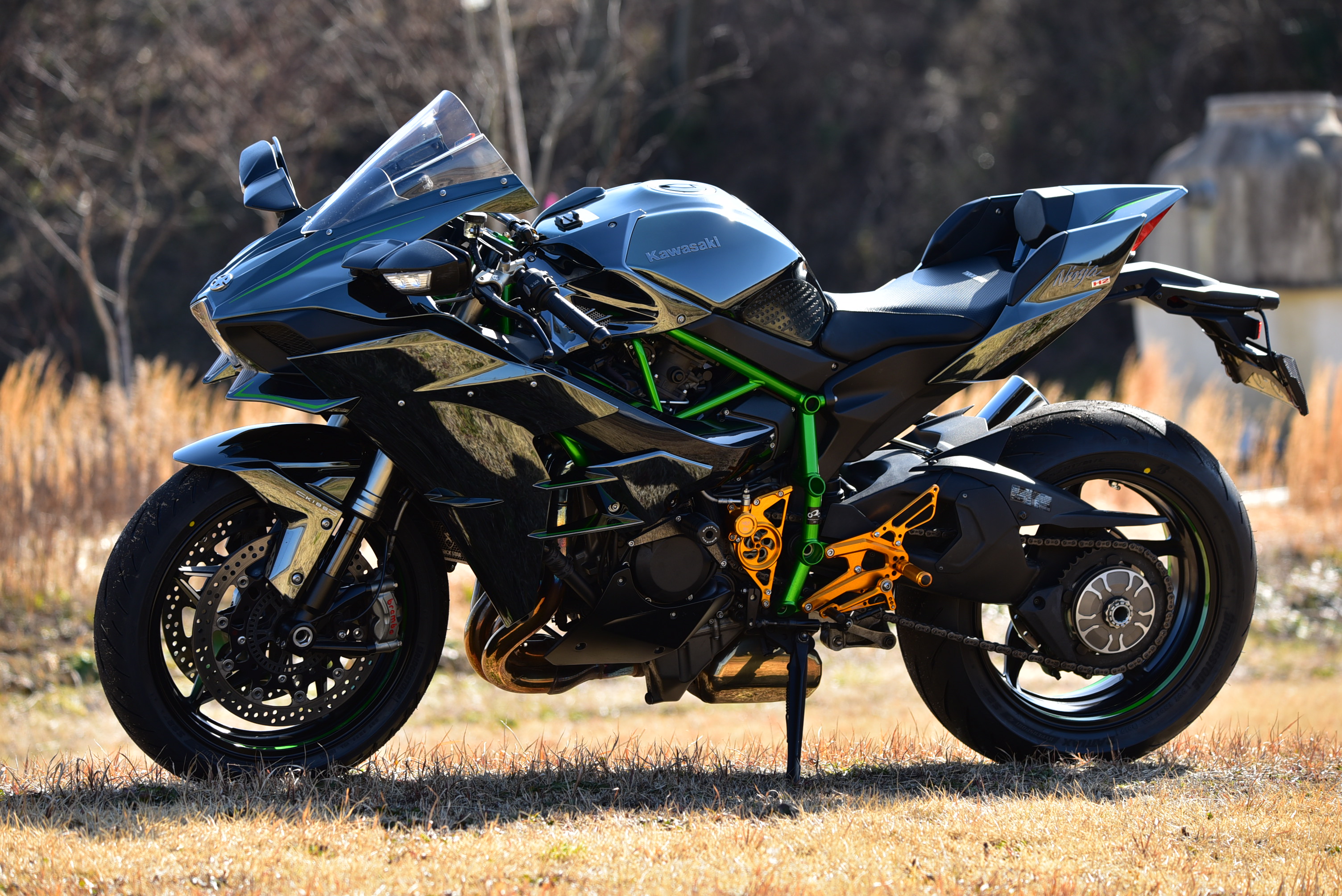 blueskyfuji: Ninja H2オーナーに聞きます）Ninja H2最終型は買いですか？
