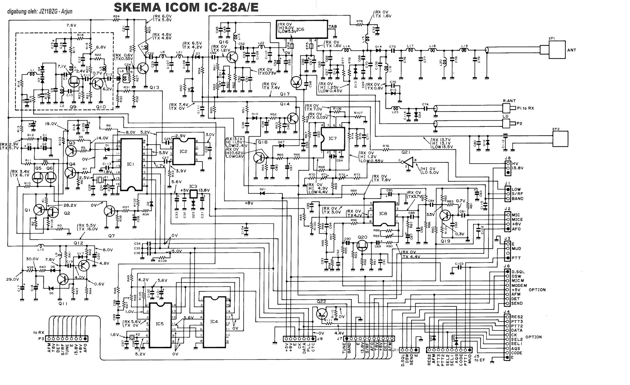 Luluk Setyo Nurhandoko