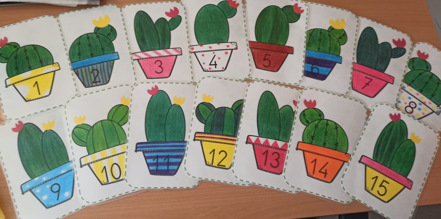 La clase de Ire: Cactus matemáticos