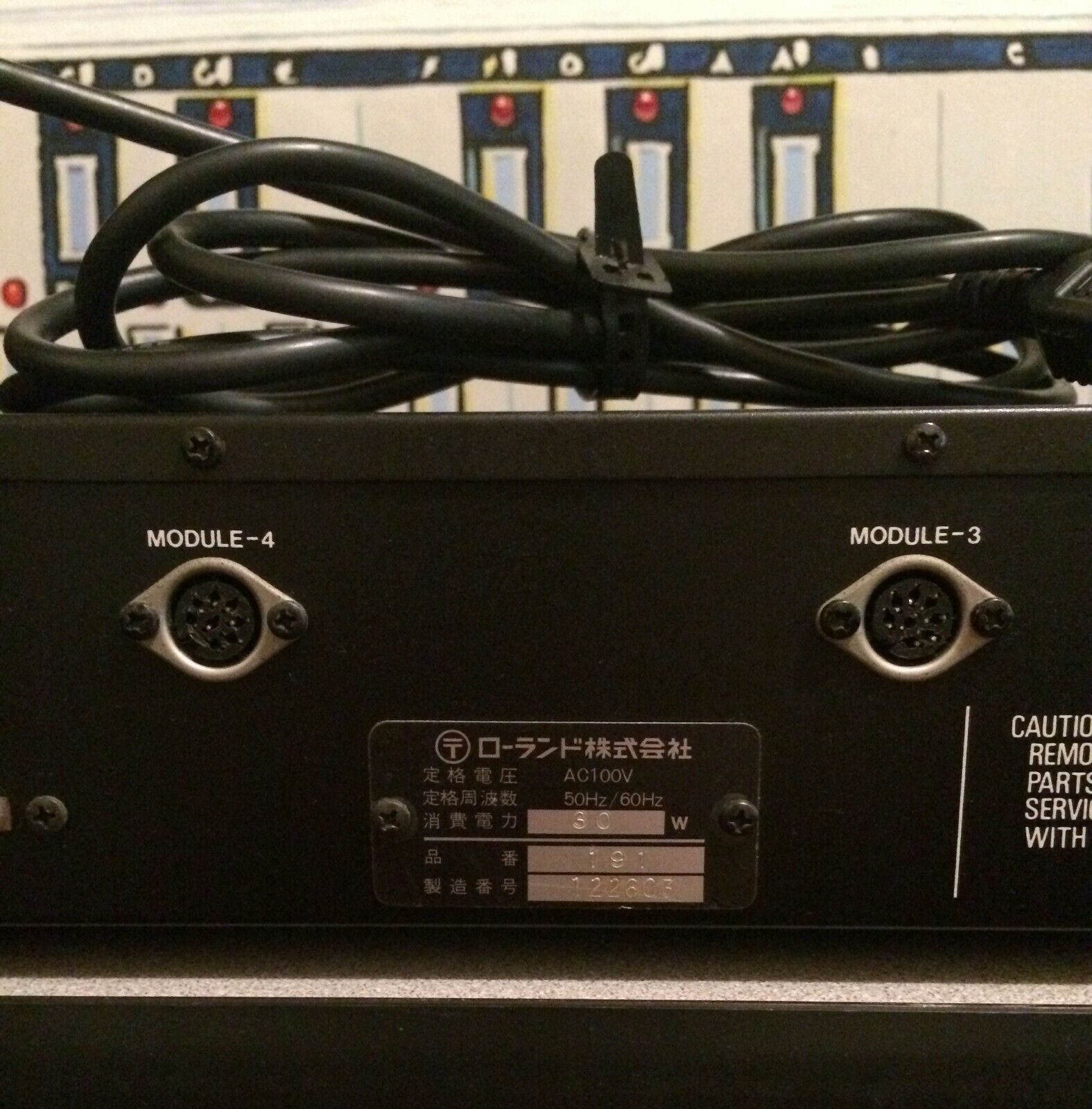 MATRIXSYNTH: Two Roland System 100m 191J Racks