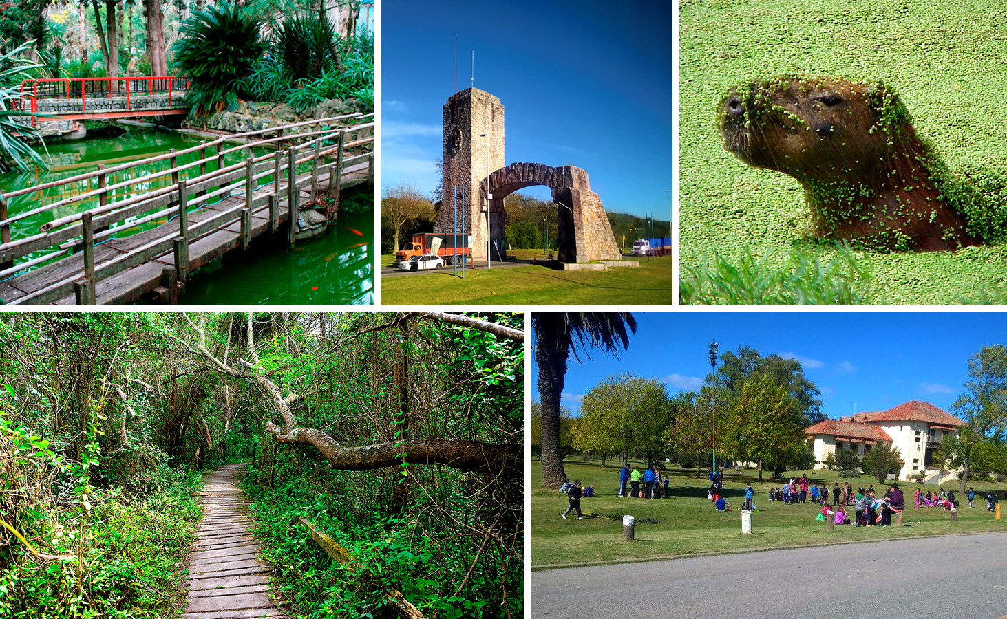 6 Reservas Naturales y Grandes Parques | Visita La Plata
