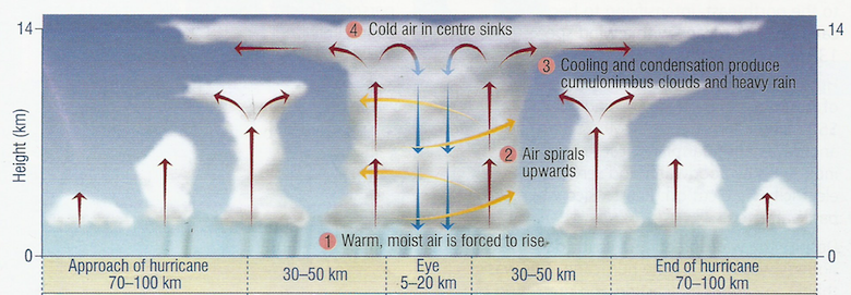 Weather and Climate: Caribbean Weather Systems
