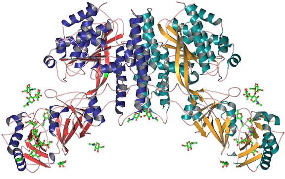 Imágenes de Salud: July 2018