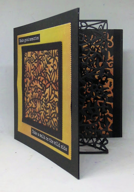 Sarah's Craft Shed: Pop-Out Card with Fancy Aperture