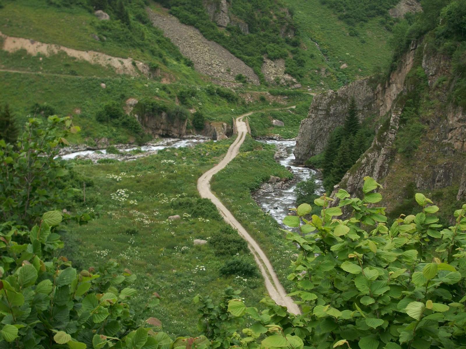 Kerim Yollarda: DOĞU KARADENİZ GEZİSİ - RİZE YAYLALARI (ÇİÇEKLİ YAYLA ...
