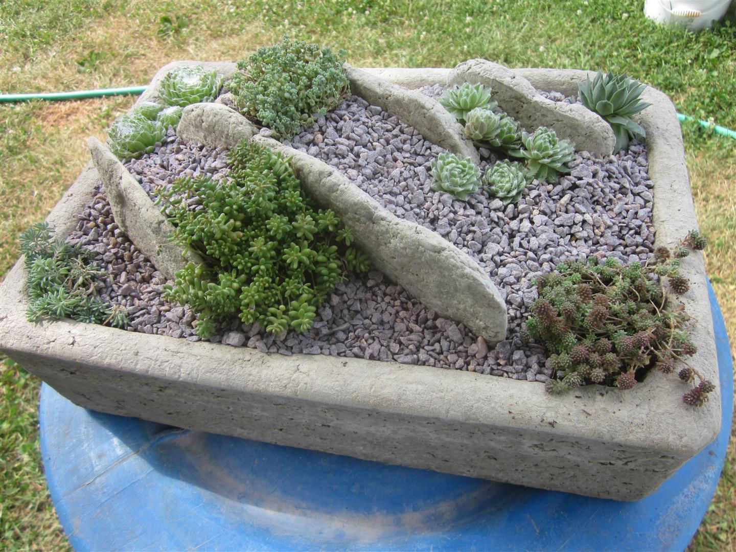The Papercrete Potter: Crevice Gardens in Papercrete Troughs..........