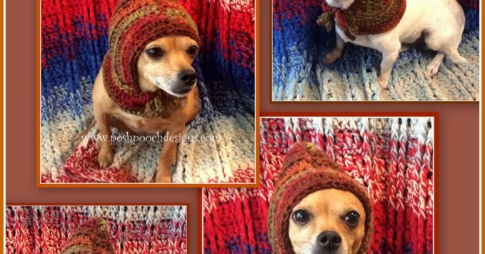 Posh Pooch Designs : Hooded Cape For Small Dogs Crochet Pattern | Posh ...