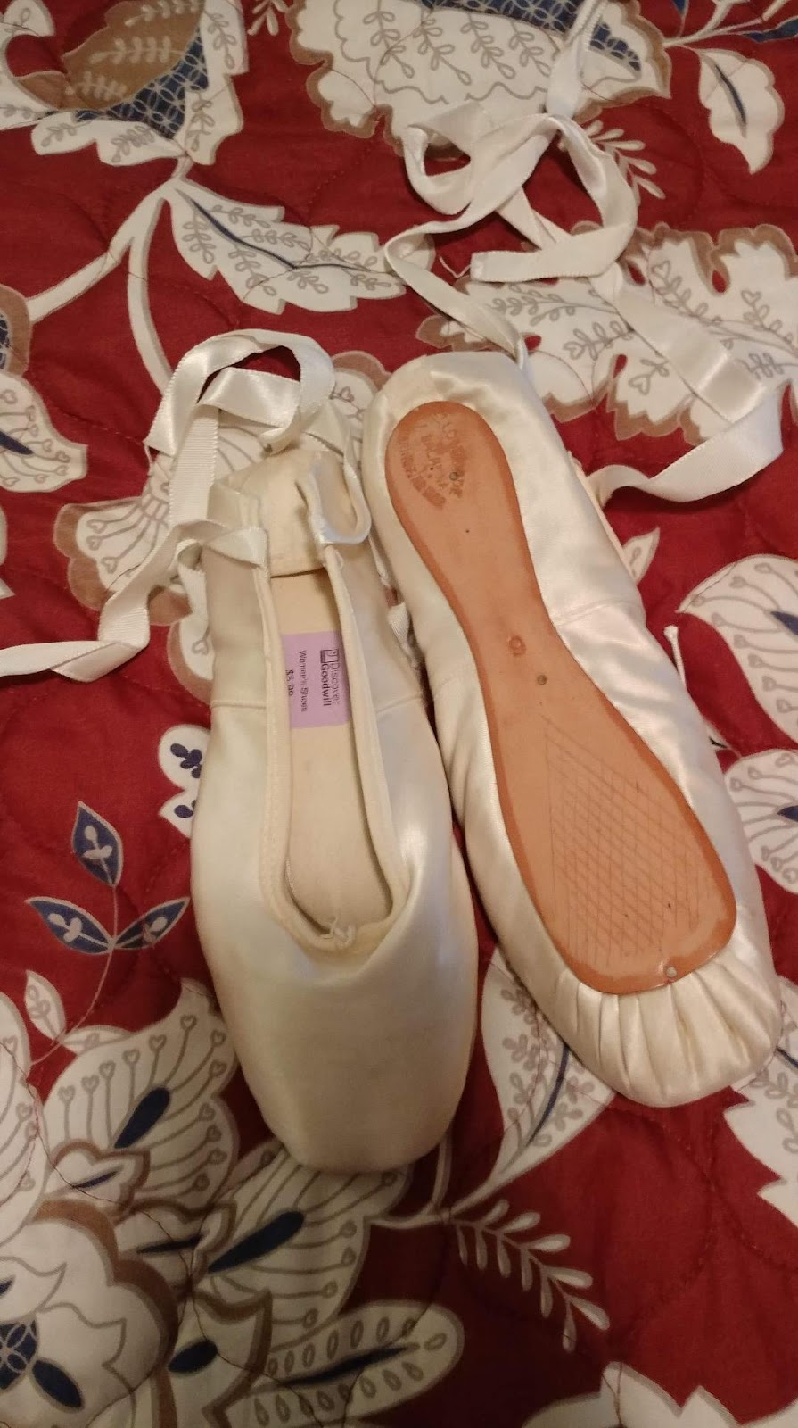 Antique Pointe Shoes: Anello & Davide