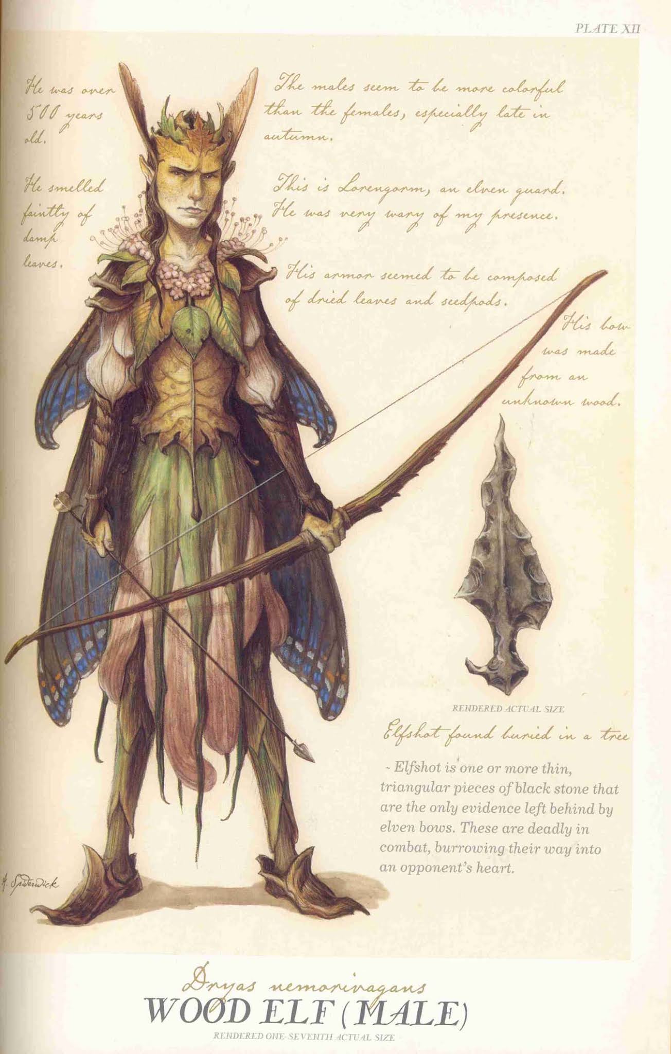 A Knight at the Opera: Elves Part 1: Reconstructing a Fantasy Archetype