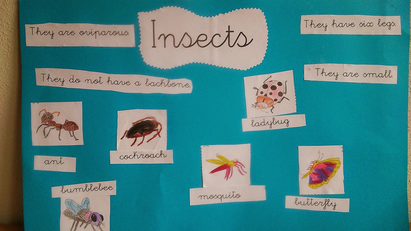 MY CLASSROOM: 1º Natural Science