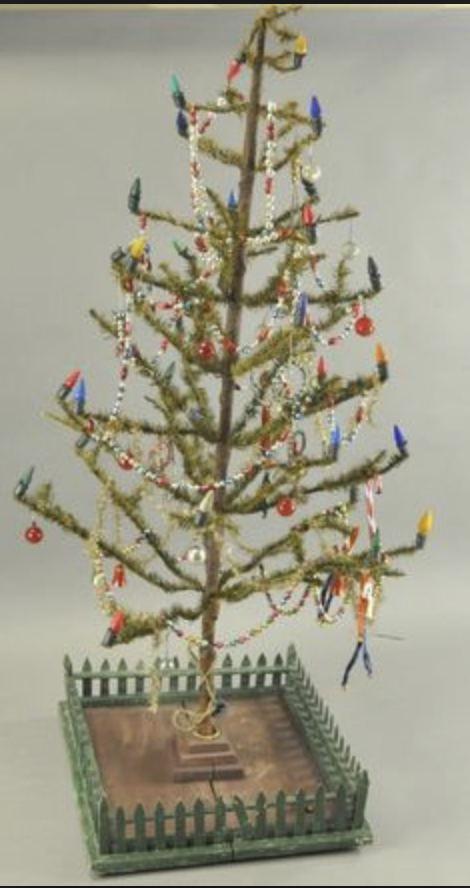 German Feather Trees