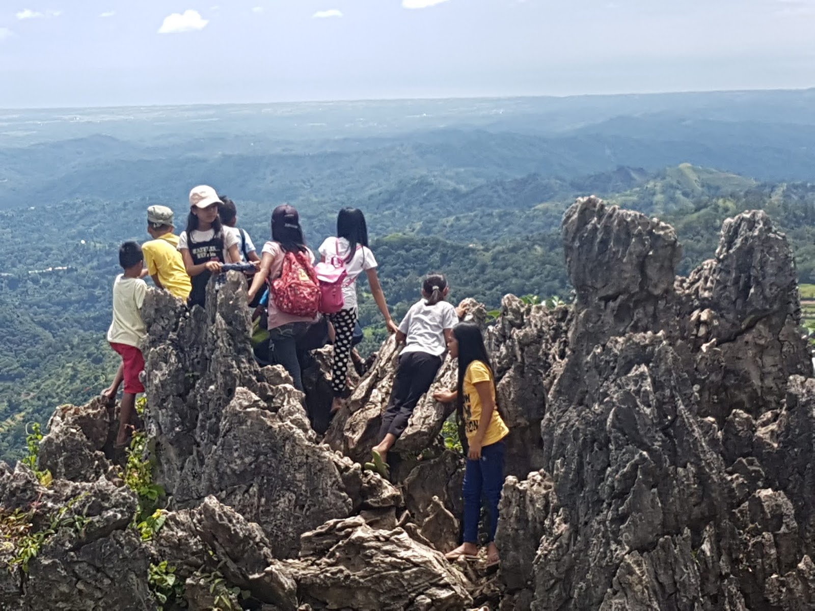Pine Trees of Bucari, Leon, Iloilo