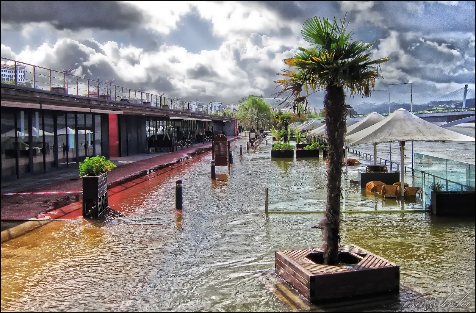 UM PIGO DE LUZ: Docas e as Cheias do Mondego / Coimbra