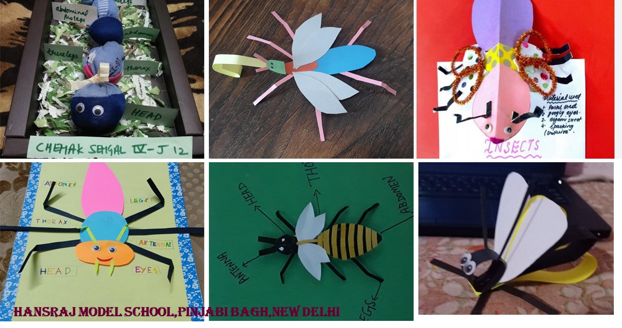 It's All About Arts Integration: Insects (Bugs) - Visual Art