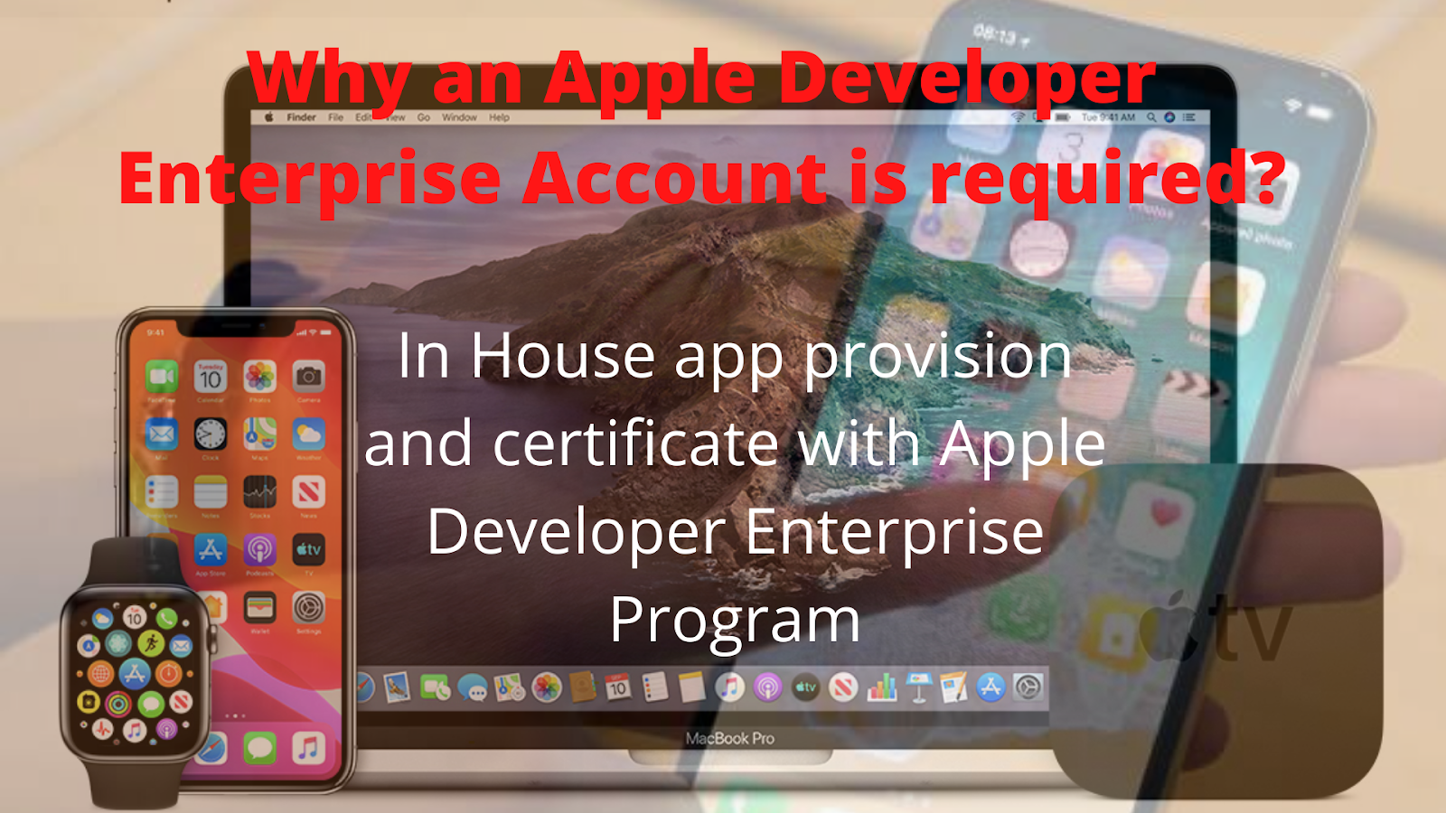 Apple Developer Enterprise Account [Step-by-Step Guide] Create InHouse ...