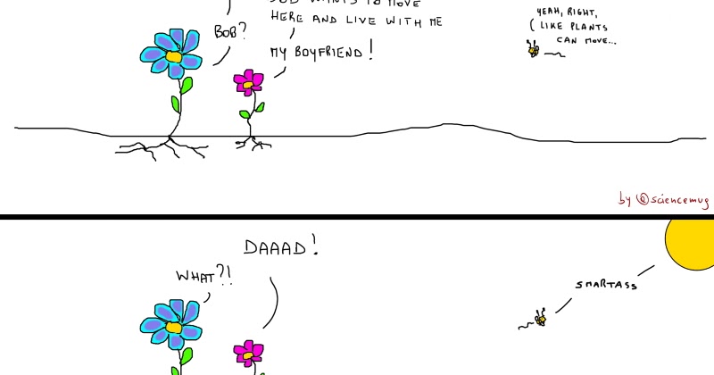 sciencemug sip science & laugh: THE TRUE REASON WHY PLANTS TOO EVOLVED ...