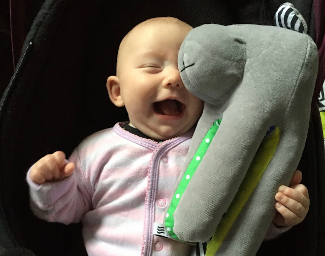 Newborn Baby Essentials You Really Need from A Third Time Mum ...