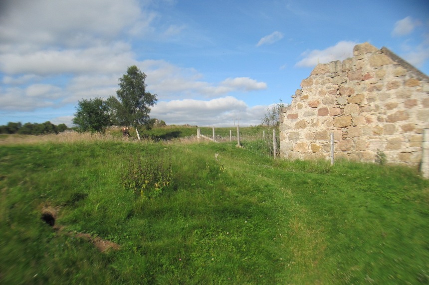 Deesidewalks.com: Muir of Dinnet, Little Ord trail