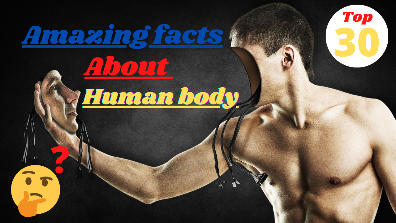 Amazing Facts About Human Body Amazing Facts About Human Body
