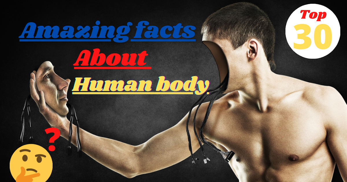 Amazing Facts About Human Body amazing-facts-about-human-body
