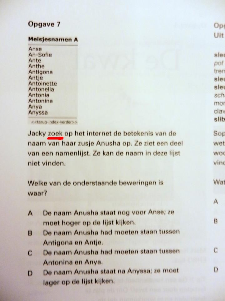 Literatuurlog: De Cito-toets