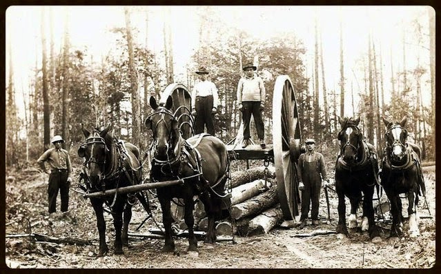 Draft Horse in America – 20 Historical Photographs That Illustrate ...