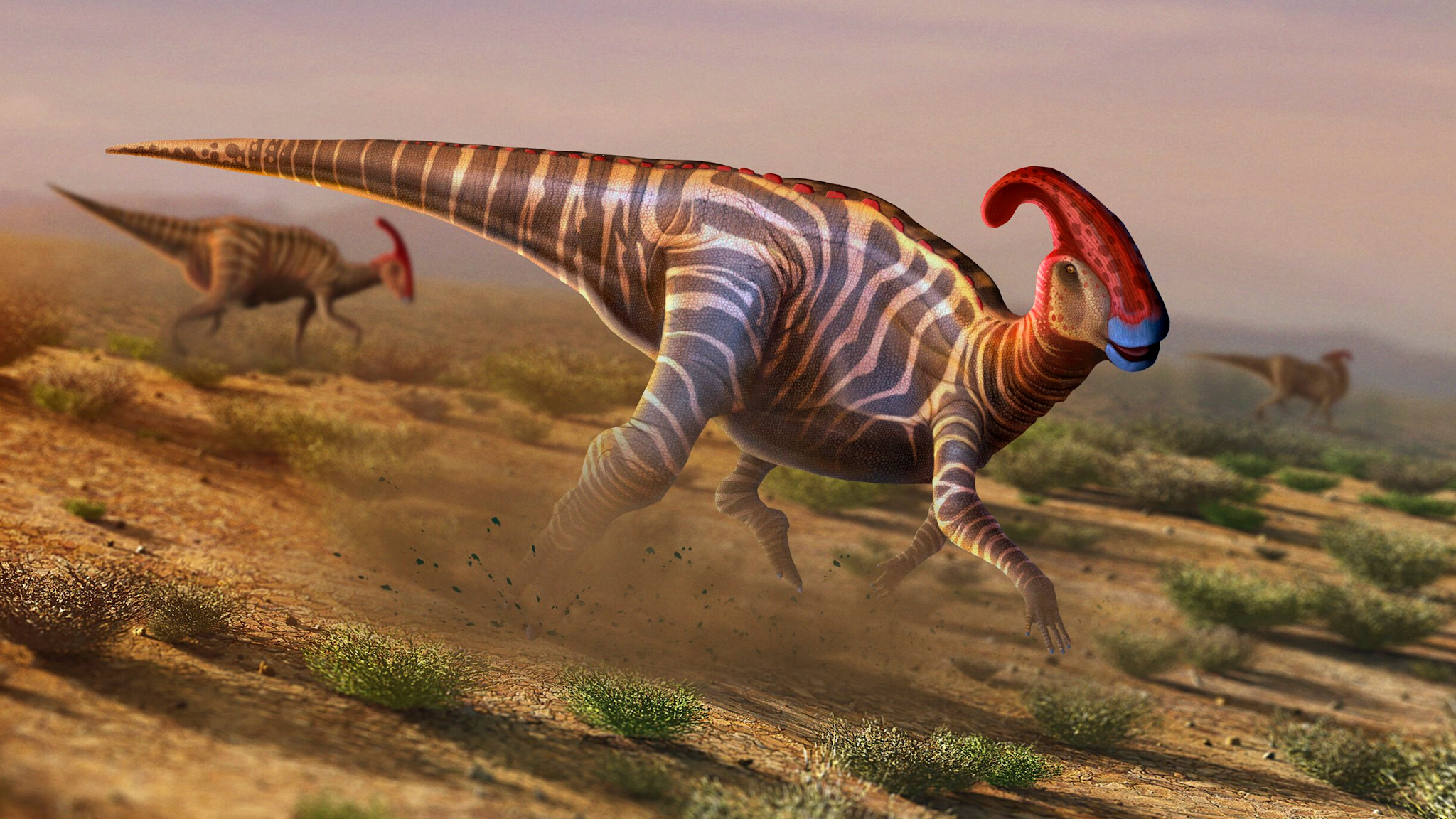 ARCHEA: CRESTED BEAUTY: PARASAUROLOPHUS