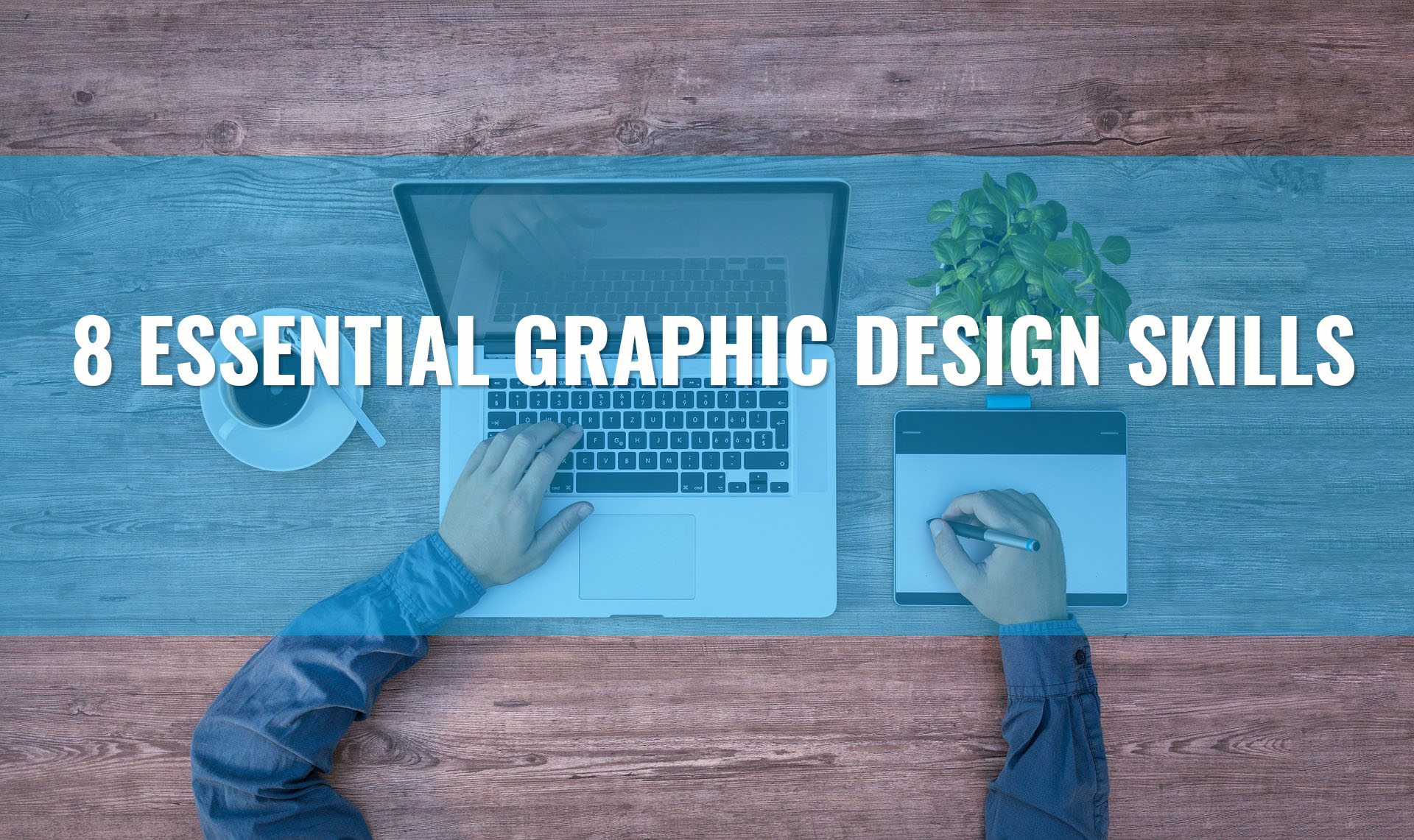 8 Essential Graphic Design Skills - ololtek