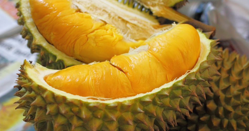 REMPONG: Ini Rahasia Cara Membawa Durian di Pesawat