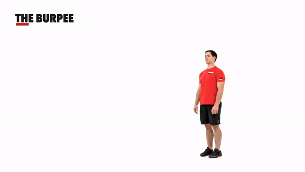 Mr. Suarez's Physical Education Blog: What is a Burpee, it's Possible ...