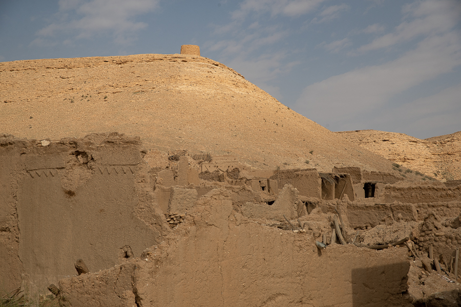 Birds of Saudi Arabia: Old Deira Al Ghat Heritage Village