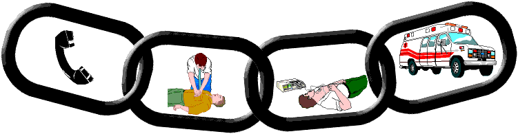 REANIMACIÓN CARDIOPULMONAR: ENCUESTA DE INFORMACIÓN SOBRE RCP