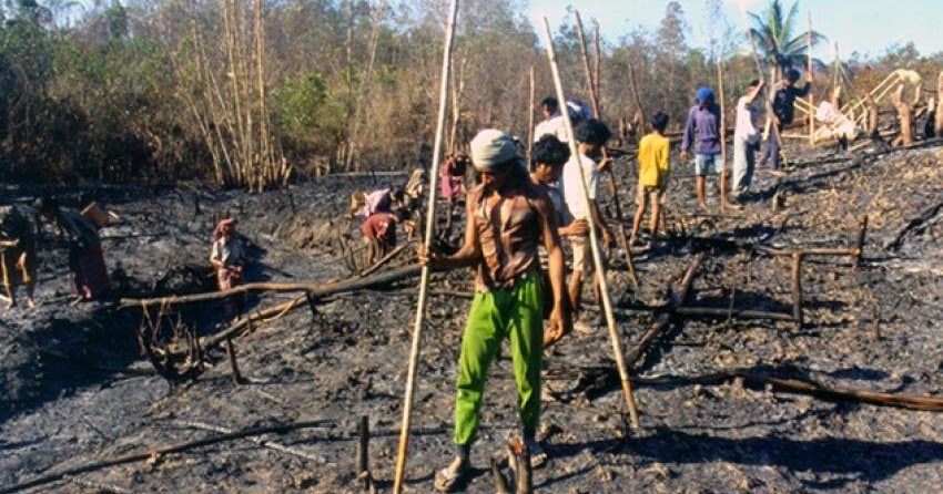 Facts About the Ilongot Tribe