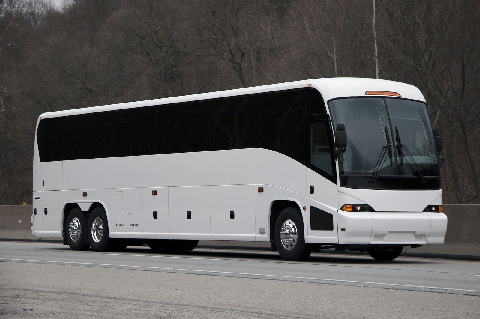 3 Things You Need to Know Before Hiring a Charter Coach in Sydney ...
