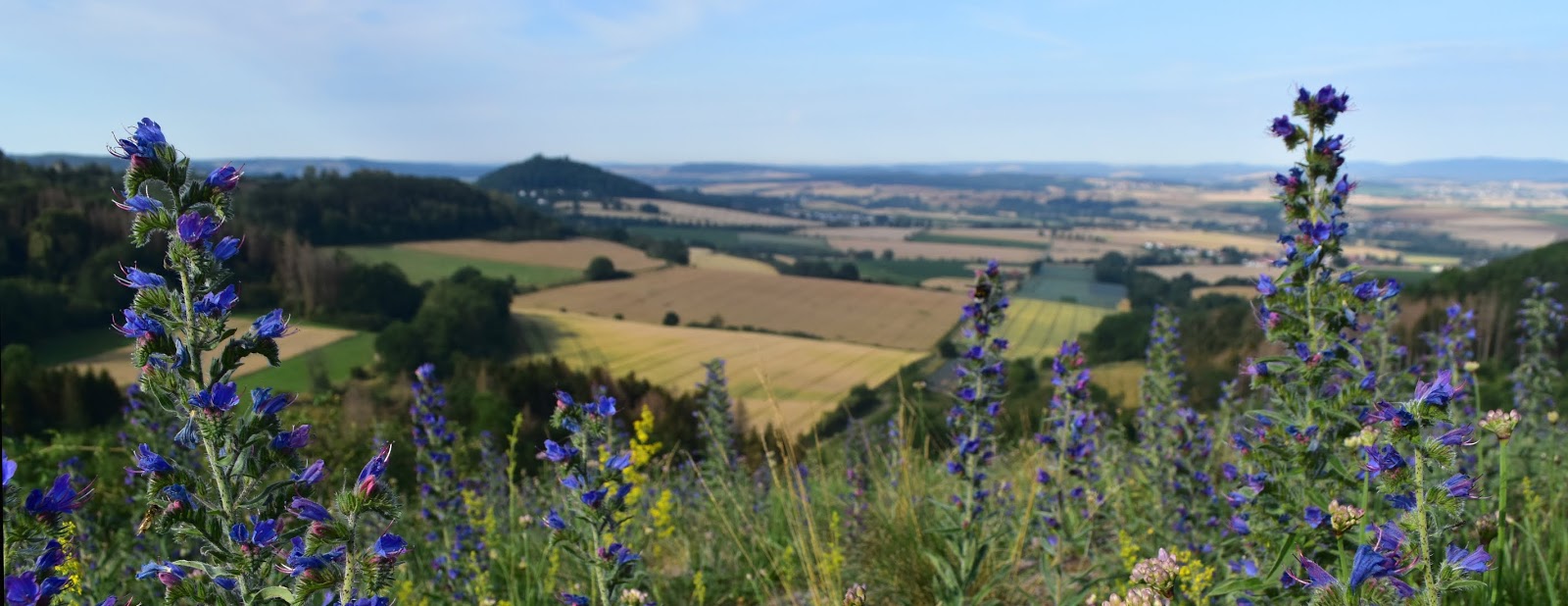 Hütte am Klimmstein / Naturschutzgebiet Mosenberg