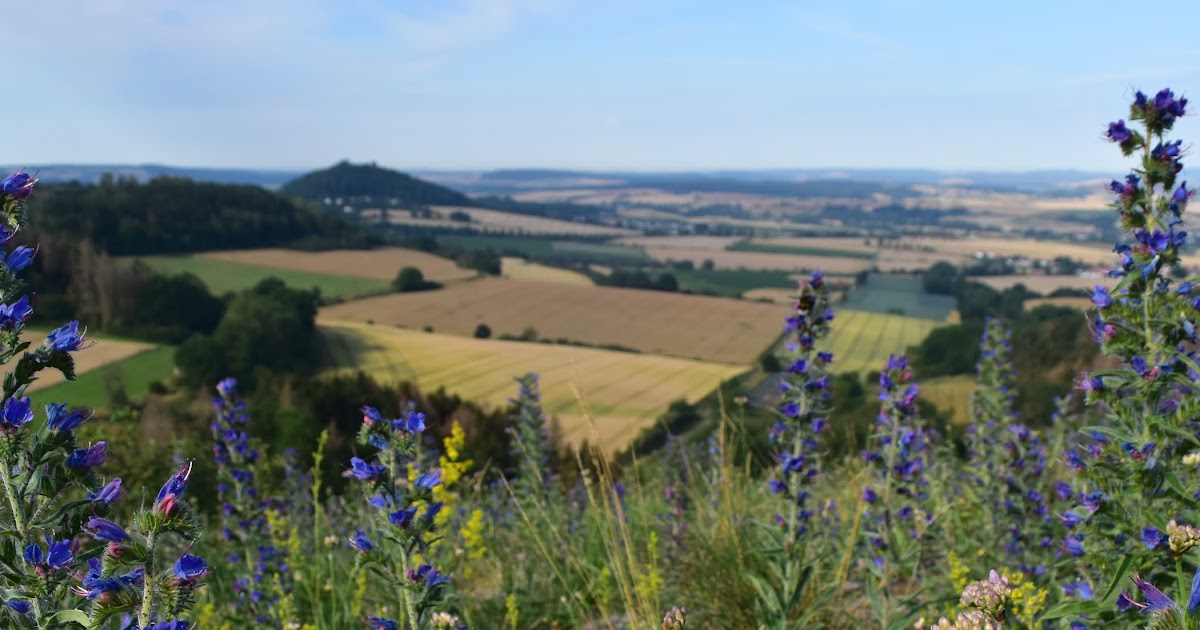 Hütte am Klimmstein / Naturschutzgebiet Mosenberg