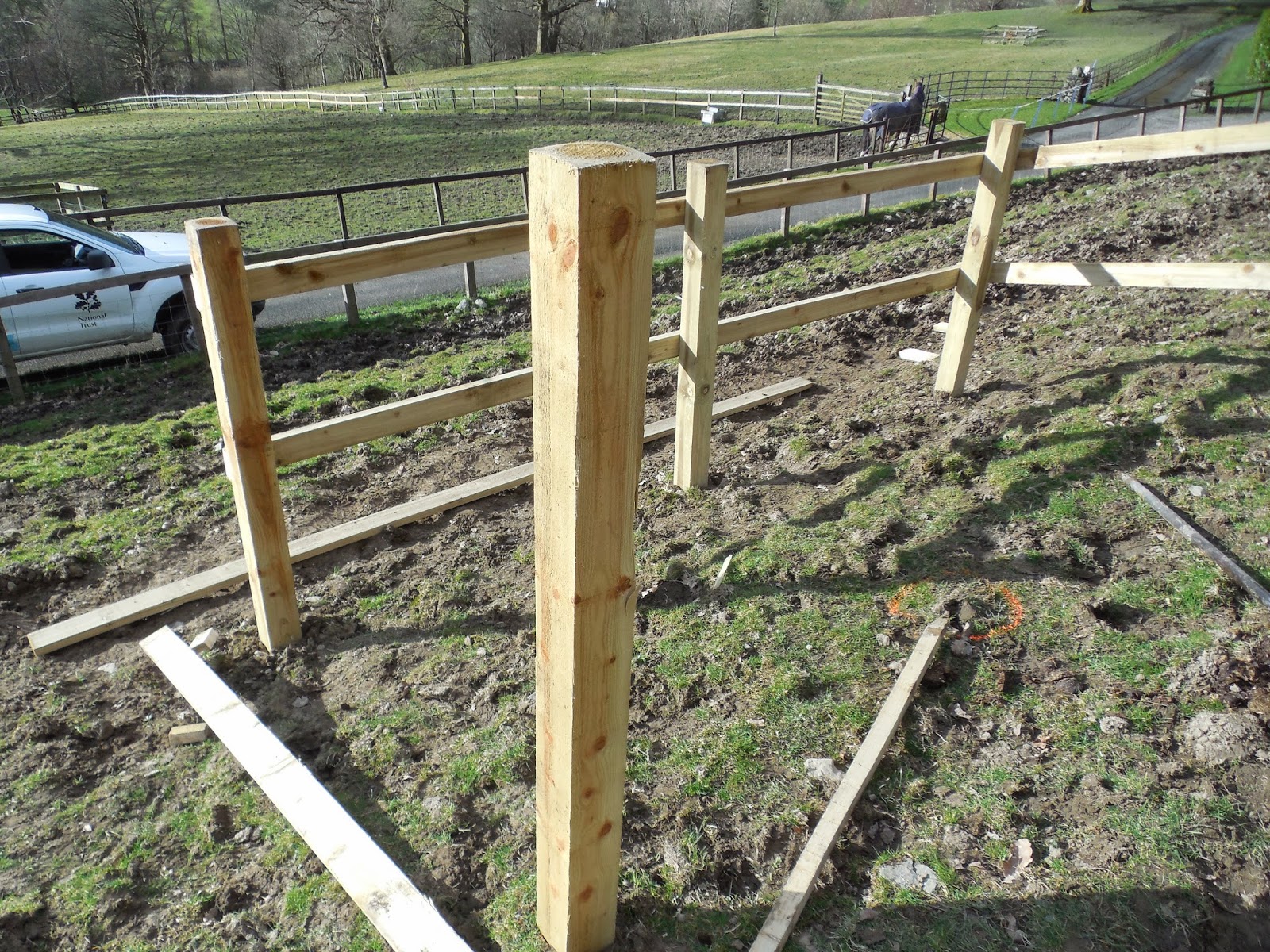 Central and East Lakes Rangers: Tree Guards and Tree Planting: The Howe ...