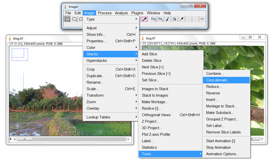 My imageJ: เมนู Image with ImageJ [ตอนที่ 34] Stacks tools, จัดการต่อ ...