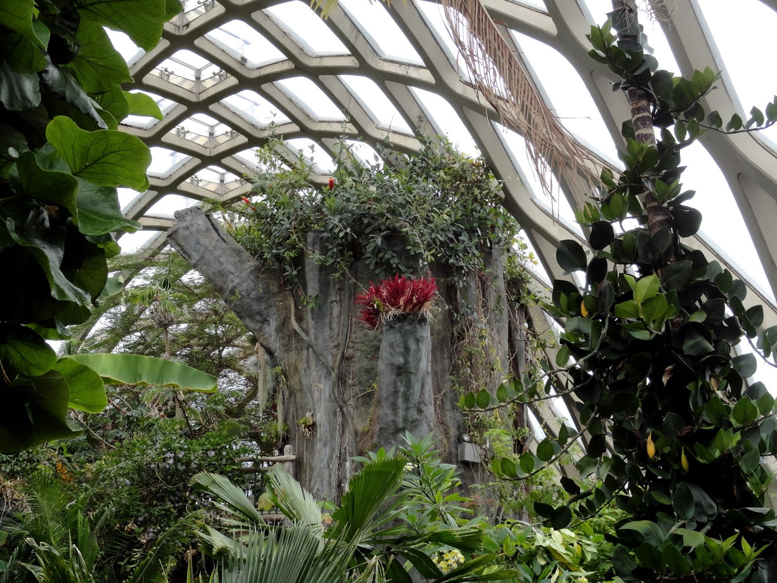 danger garden: The Greenhouse Complex, Boettcher Memorial Tropical ...