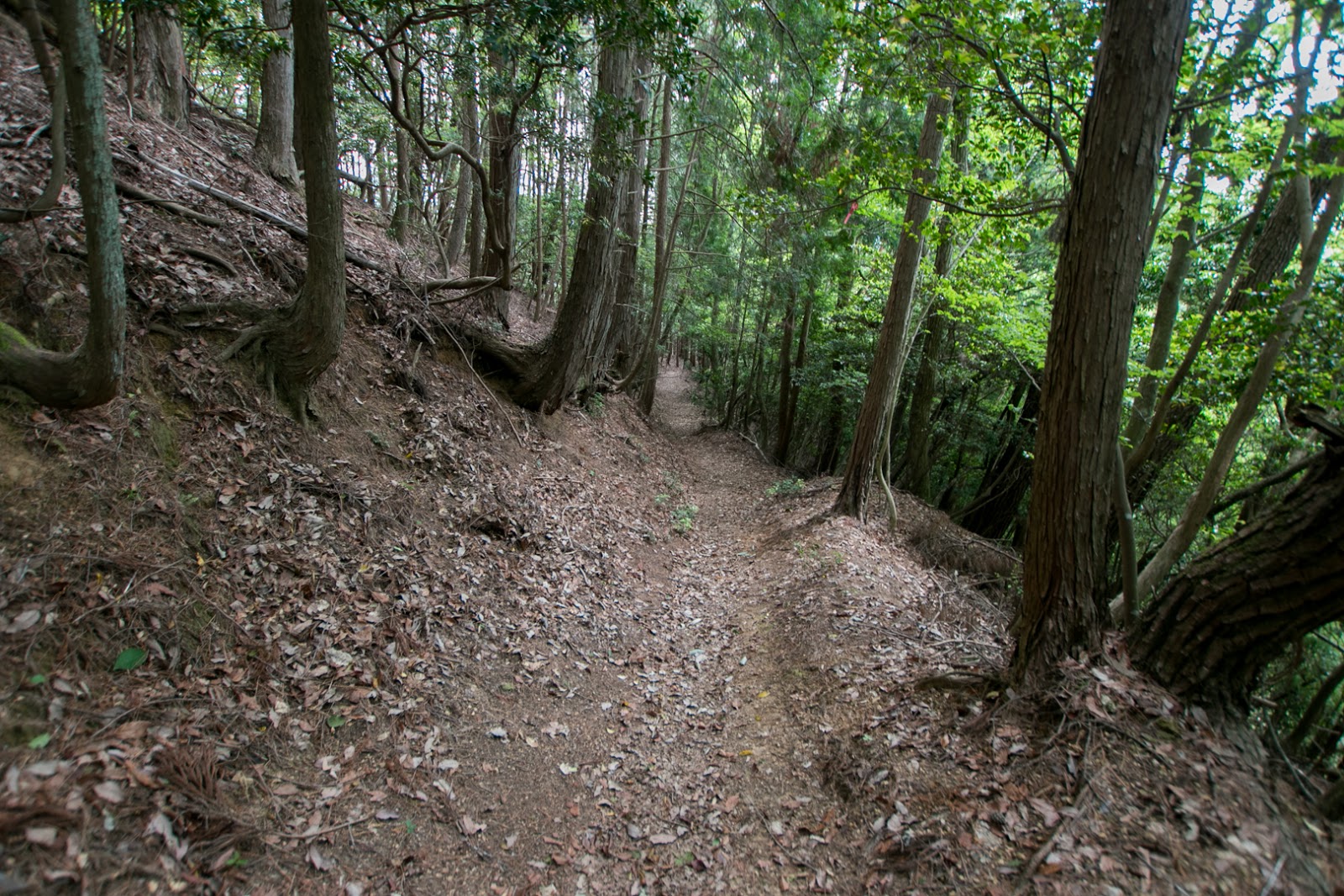 Kinzan Castle -Time to treason (7) separation of two strong enemies ...