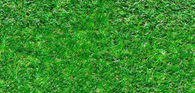 Blog sobre el cuidado de la grama: Grama, lista de posibles usos para ...