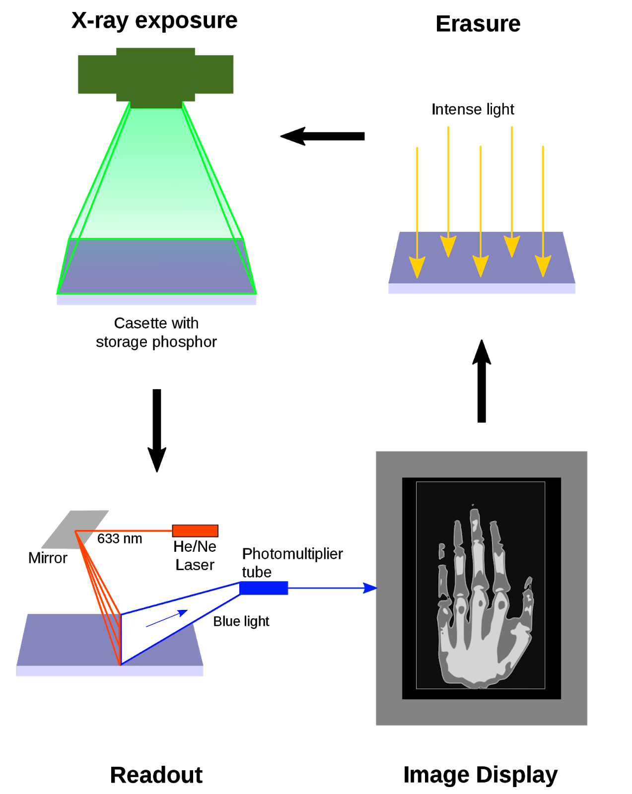 INTRODUCTION TO THE CONVENTIONAL RADIOLOGY - Bio-Méd's Ingineering