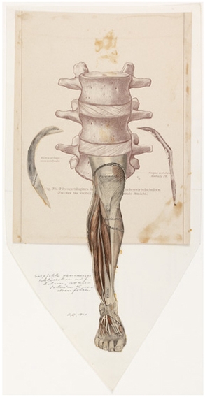 Los Grandes Fotografos: Franz Roh (1890-1965)