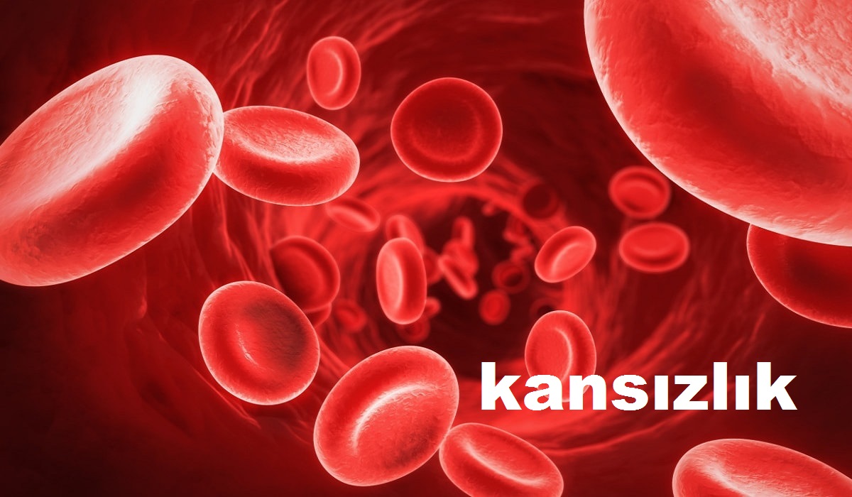 kansızlık - BilginCin