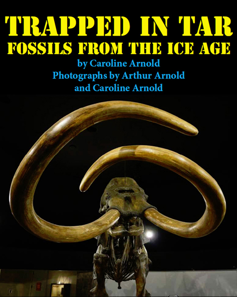 Caroline Arnold Art and Books: TRAPPED IN TAR: Fossils from the Ice Age ...