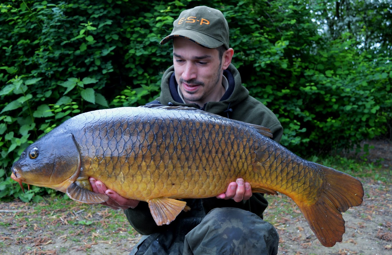 Spring Tench Fishing / Carp Fishing!!!