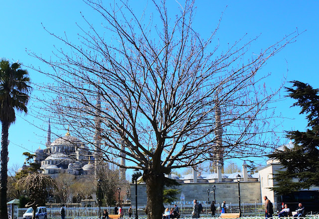 Jalan - jalan Turki 2016: Musim bunga di Istanbul ~ Alhamdulilah...di ...