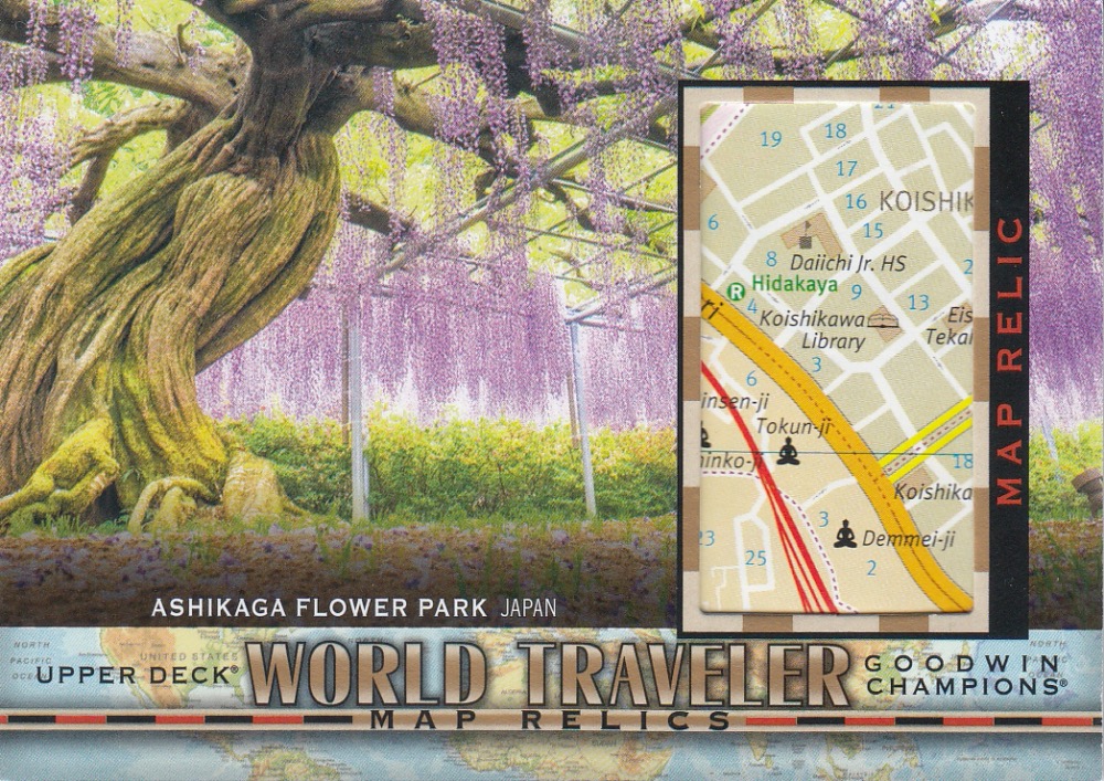 The Chronicles of Fuji: Flowers, Beasties, and an X-Rated Robot